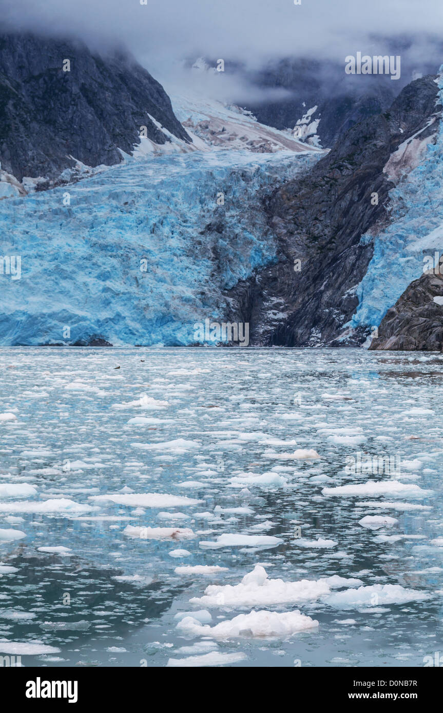 Scenic view of Glacier Bay in Alaska Stock Photo - Alamy