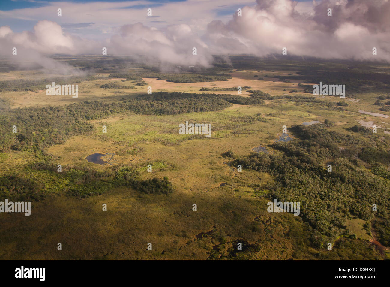 Macapa brazil hi-res stock photography and images - Alamy