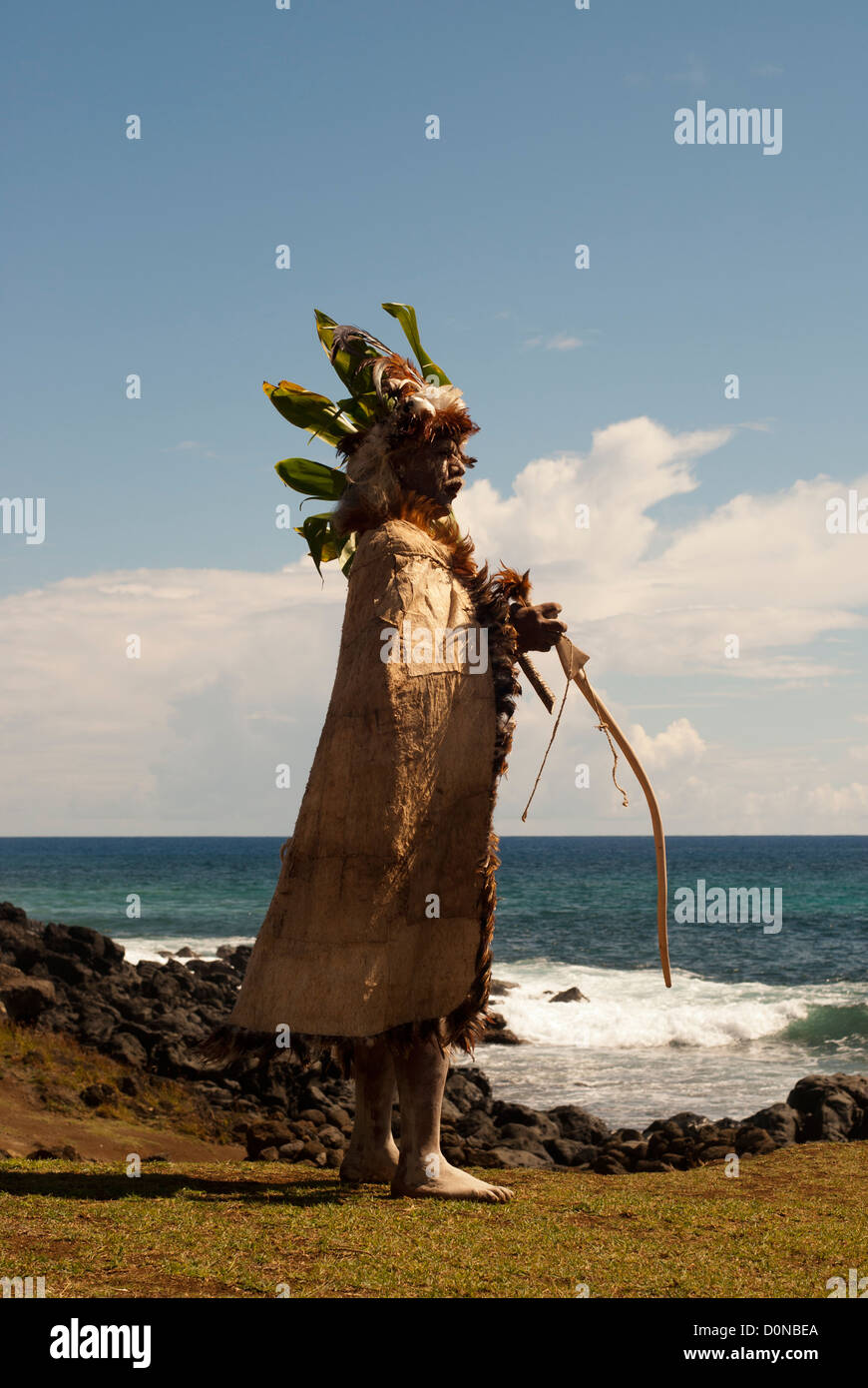 Traditional tree of chile hi-res stock photography and images - Alamy