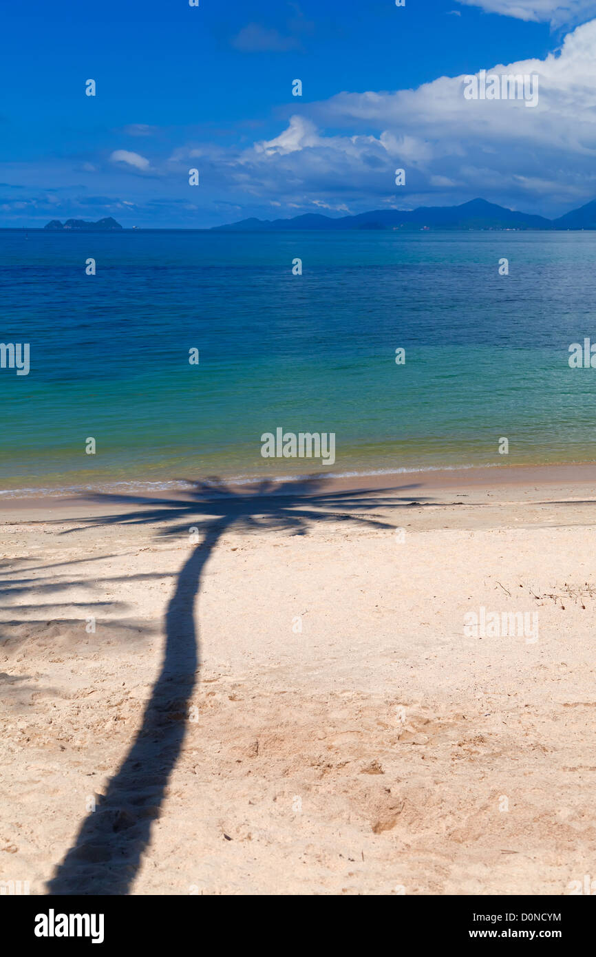 Palm tree shadow on the beach Stock Photo - Alamy