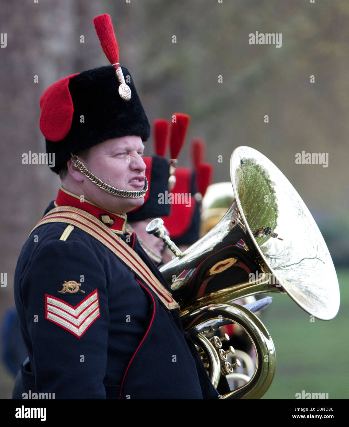 the King’s Troop parade in Hyde Park for the Major General’s Inspection ...