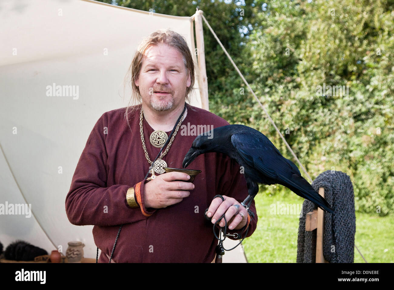 Viking raven hi-res stock photography and images - Alamy