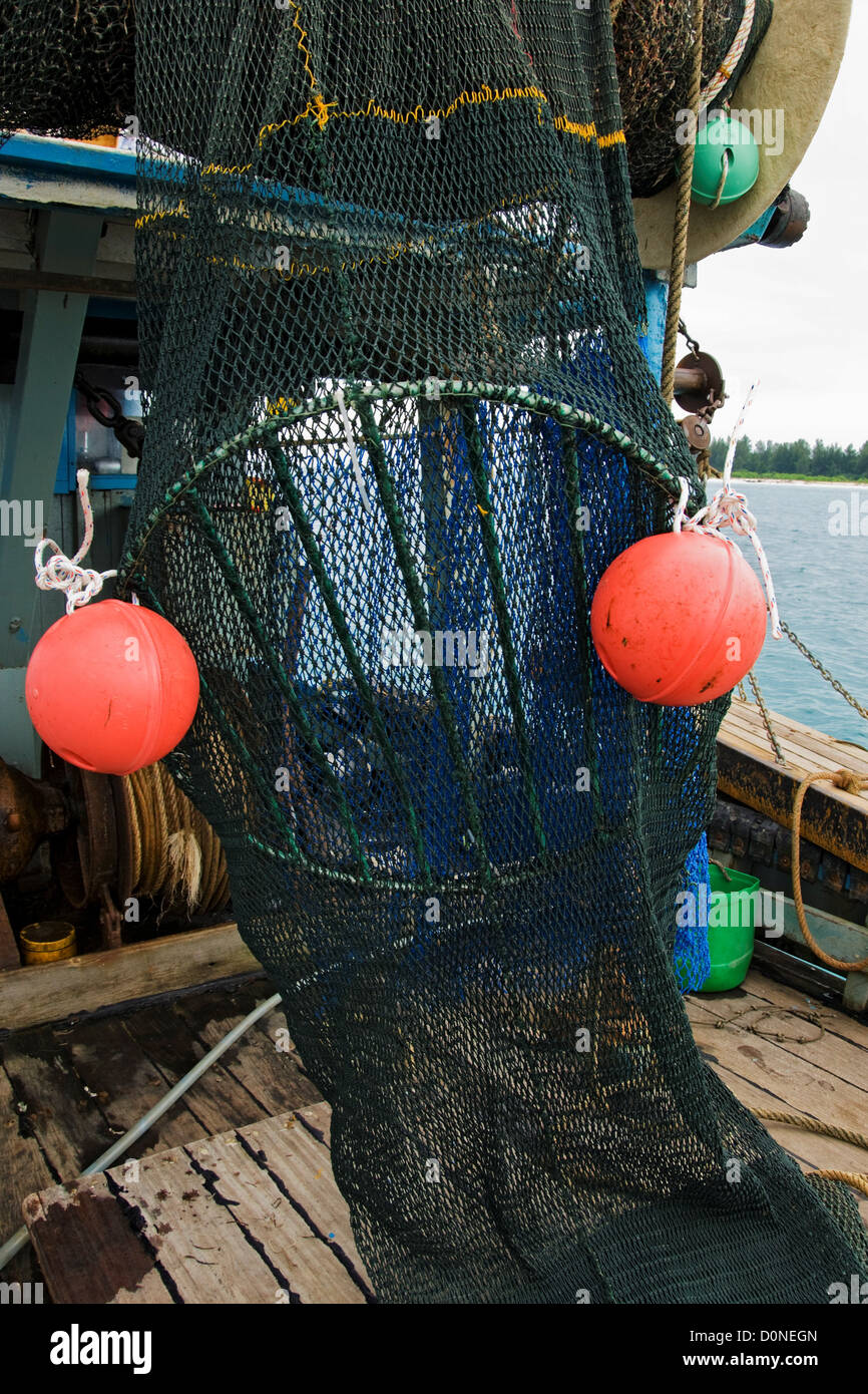Turtle in fishing net hi-res stock photography and images - Alamy