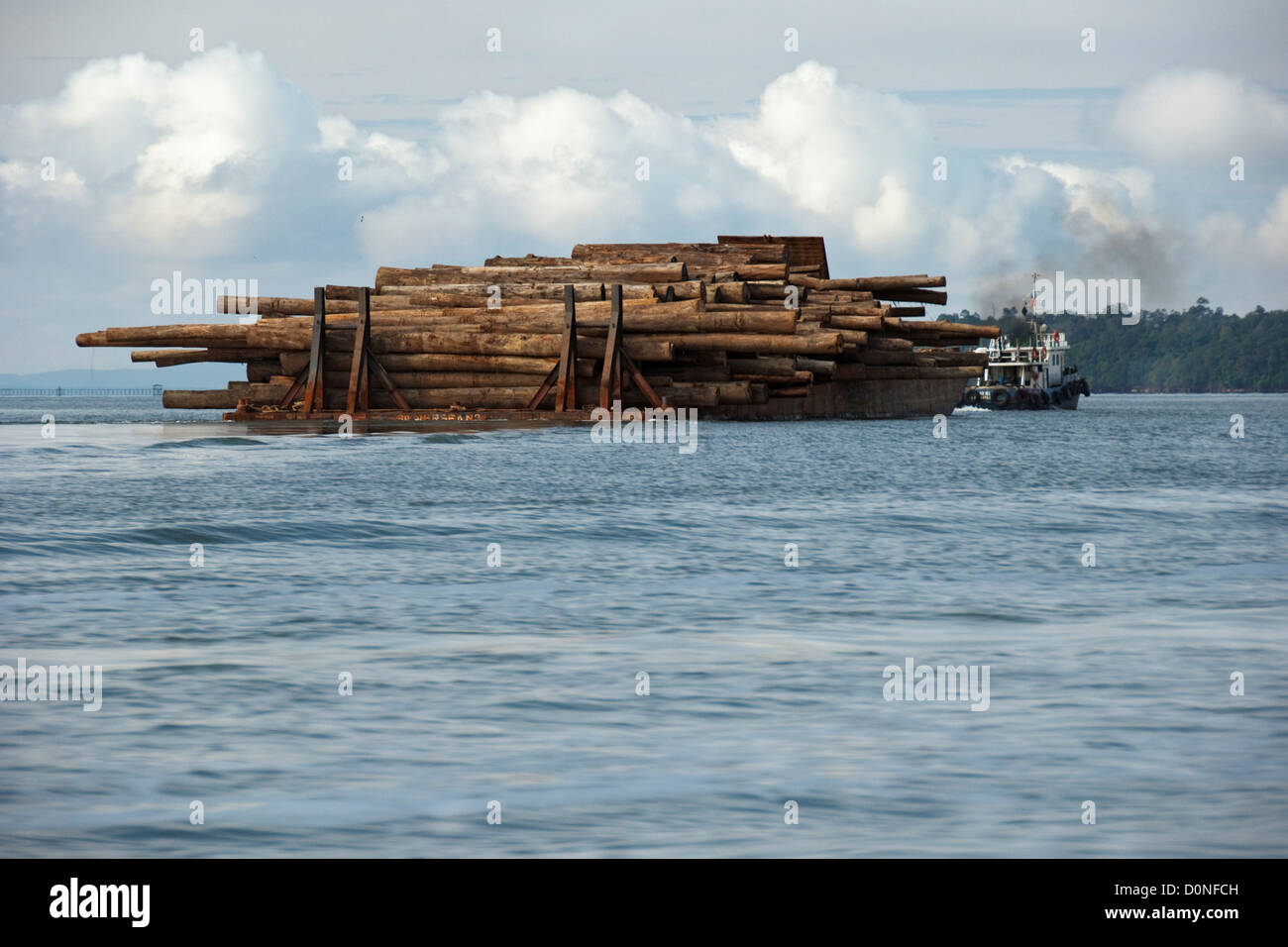 A barge large load timber Sandakan Sabah Malaysia. Logging in Malaysia ...