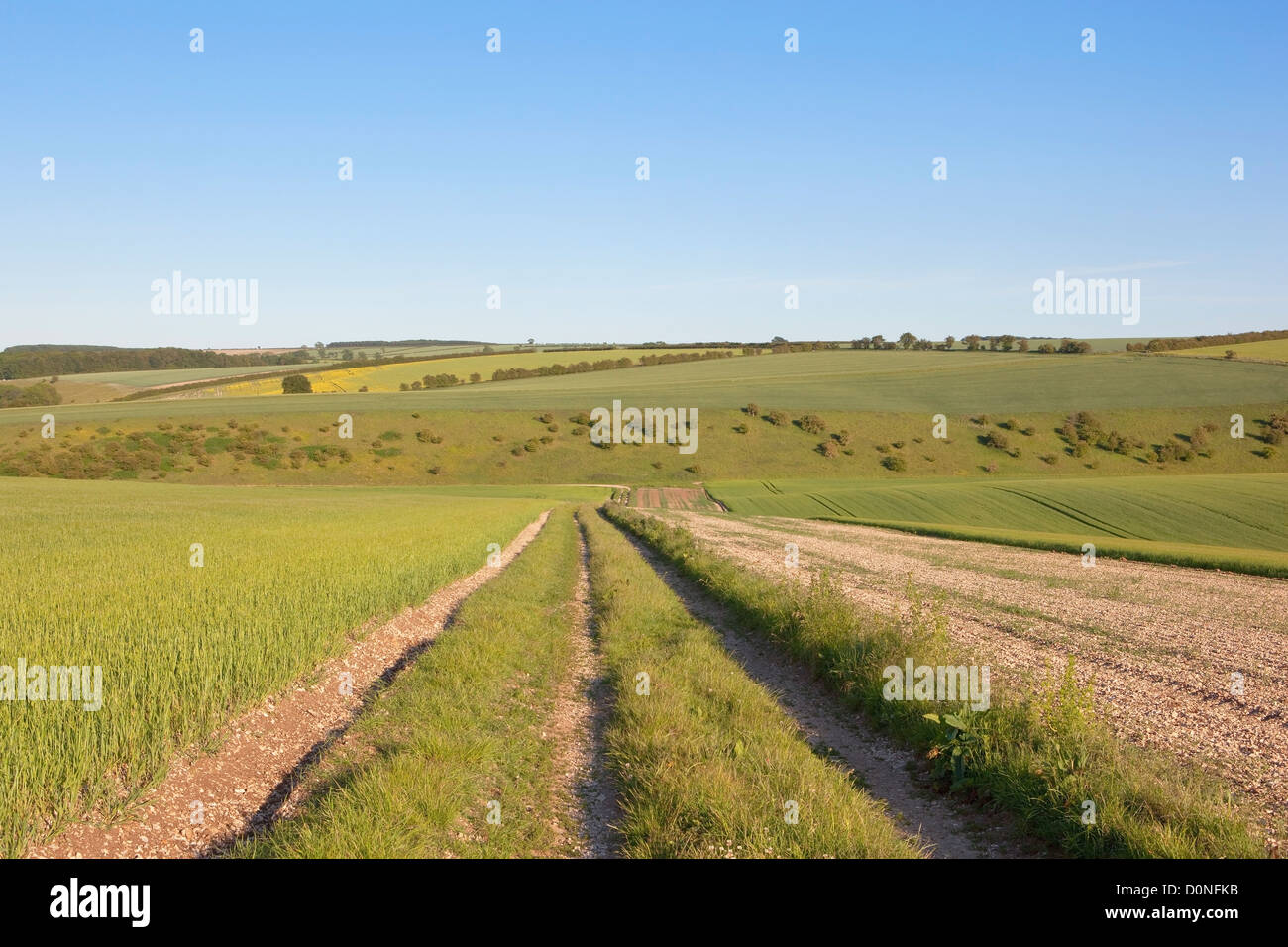An English agricultural landscape with a dusty farm track through the ...