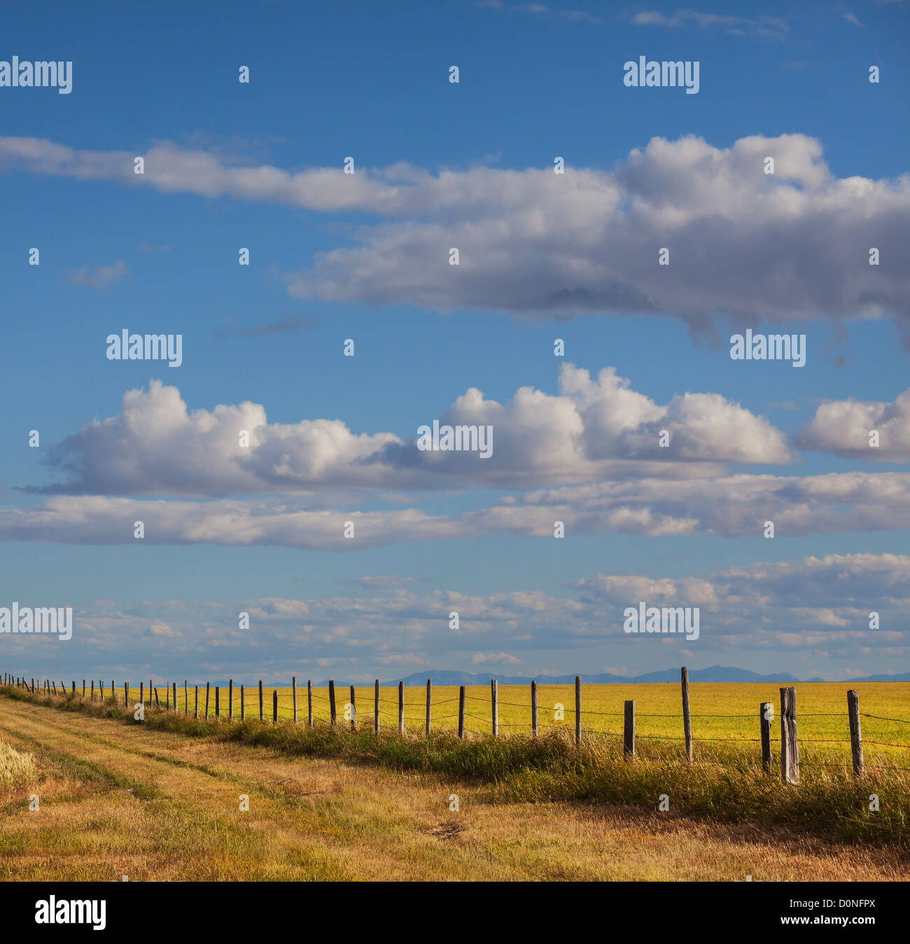 fields in fall season Stock Photo - Alamy