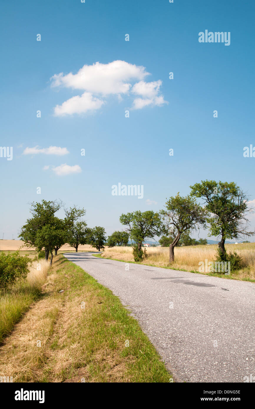 way in country Stock Photo - Alamy