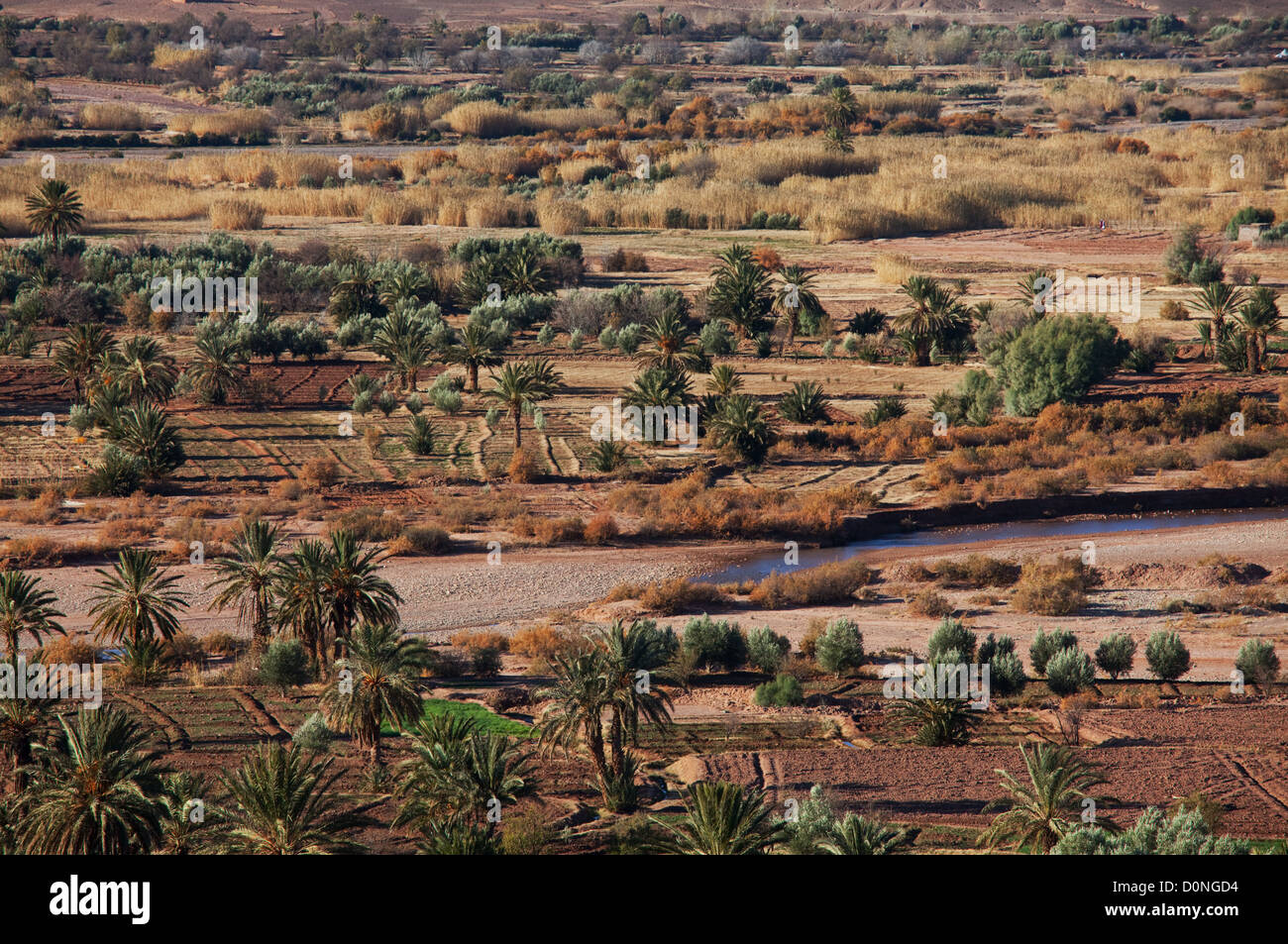 fields in Morocco, Africa Stock Photo - Alamy