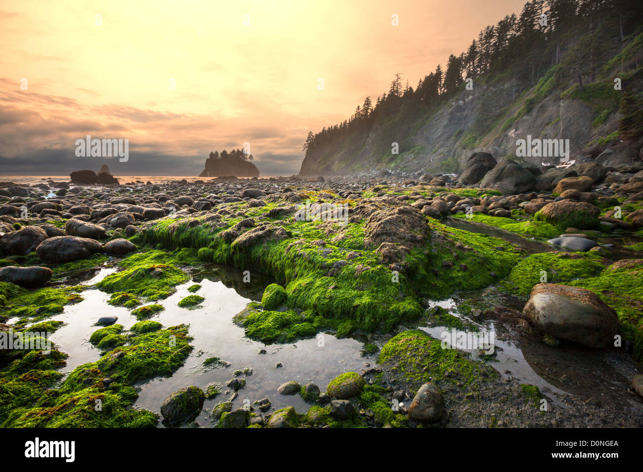 Pacific ocean coast Stock Photo - Alamy