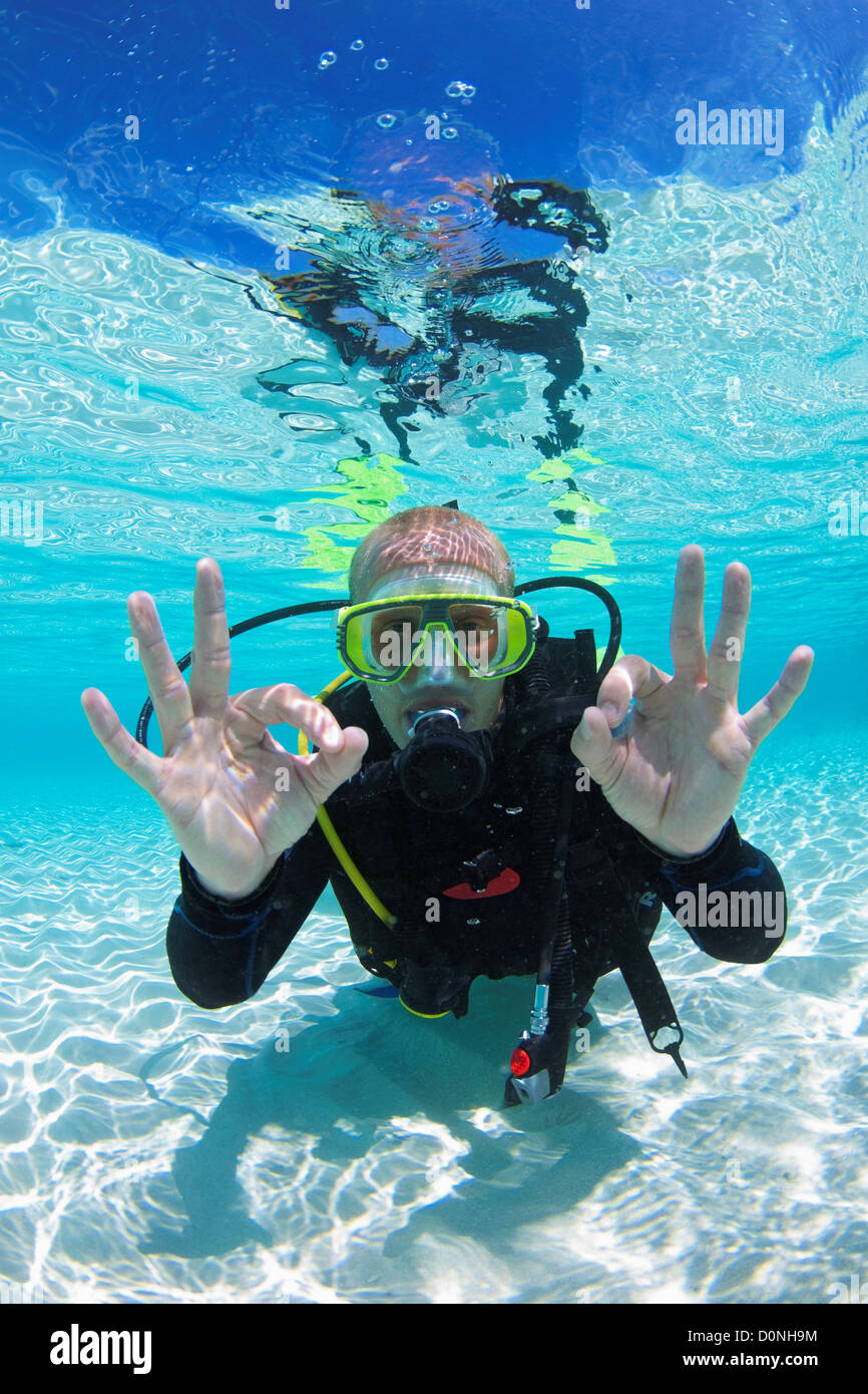 A scuba diver signals 'OK' in clear waters of the shallows, North ...