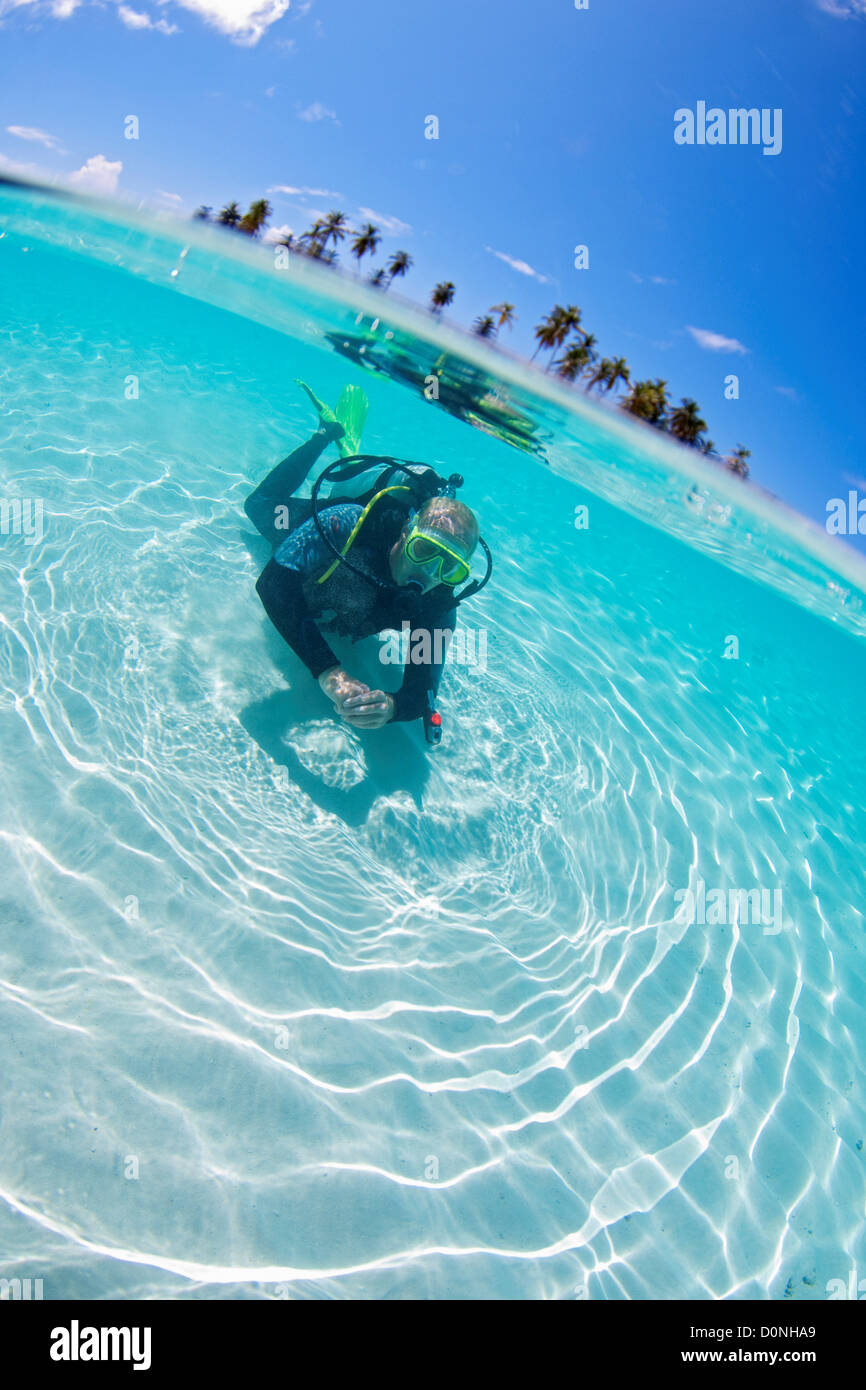 A split shot scuba diver in clear waters shallows Alila Villas Hadahaa ...