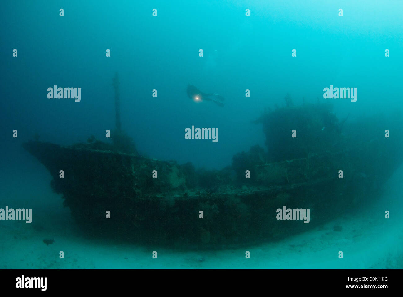 A diver over the Machchafushi Wreck, South Ari Atoll, in the Maldives ...