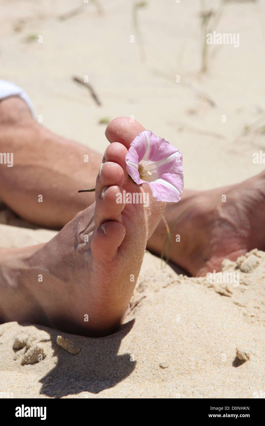Flower between toes Stock Photo - Alamy