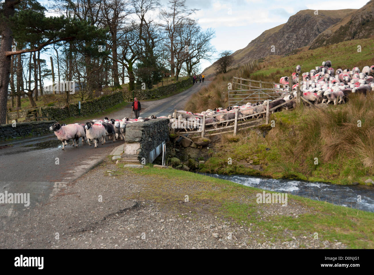 Buttermere gatesgarth farm hi-res stock photography and images - Alamy