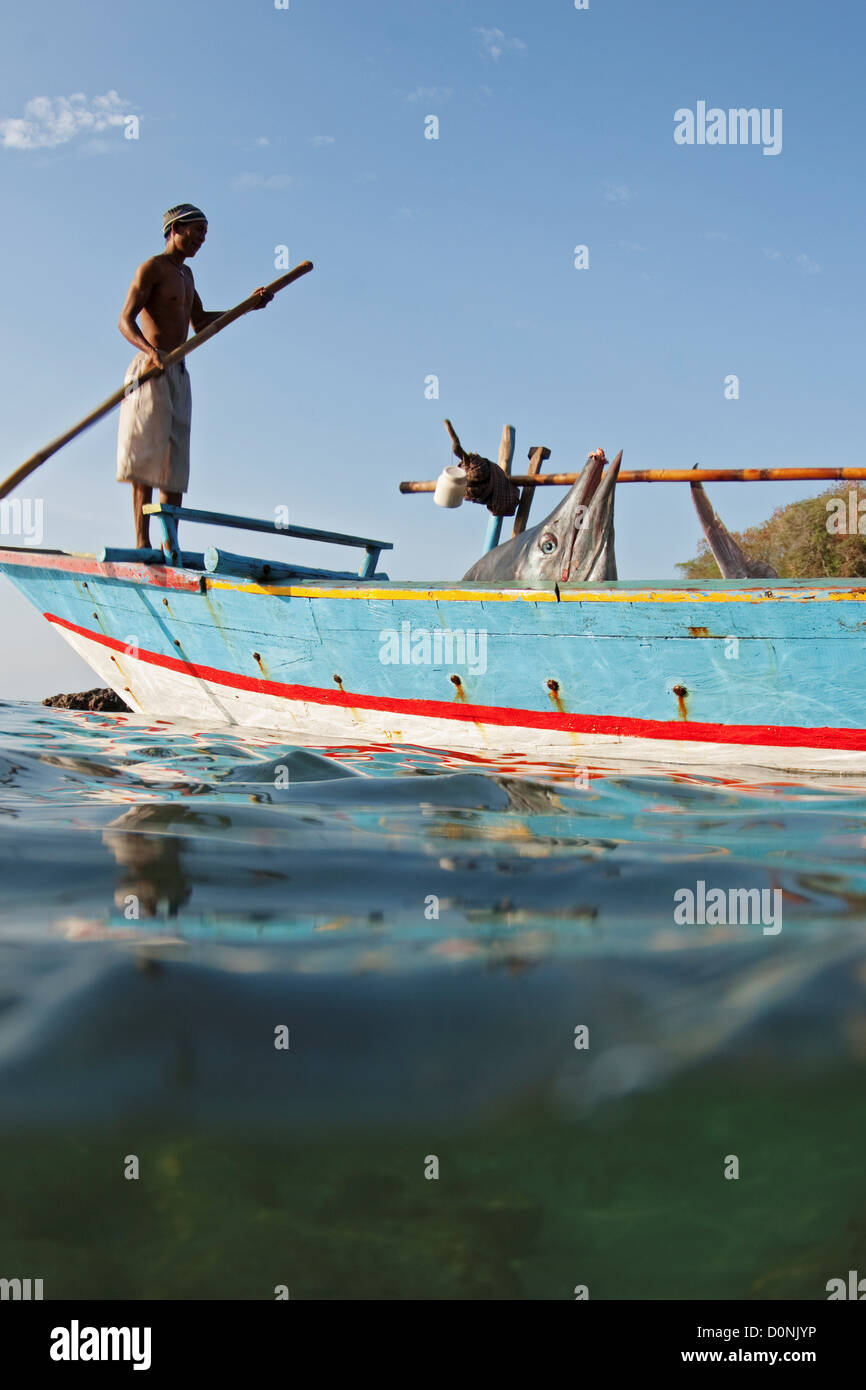 The head of a dead marlin on a fishing boat, Lamalera, Lembata Island ...