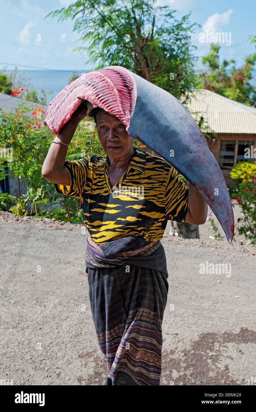 A woman carrying a part of a manta, Lamalera, Lembata Island, Eastern ...