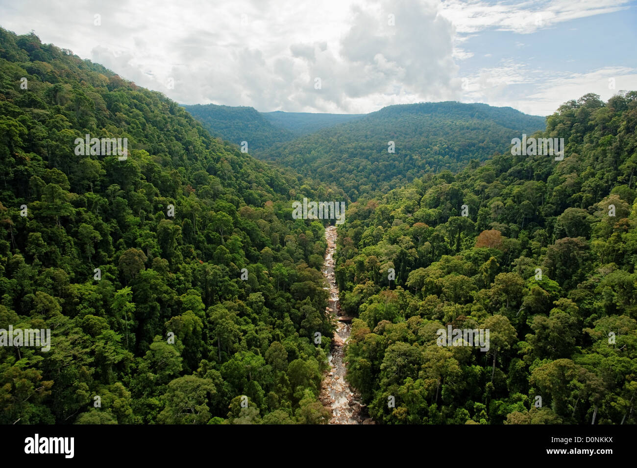 An aerial view of the Maliau River in the Maliau Basin, Sabah, Borneo ...