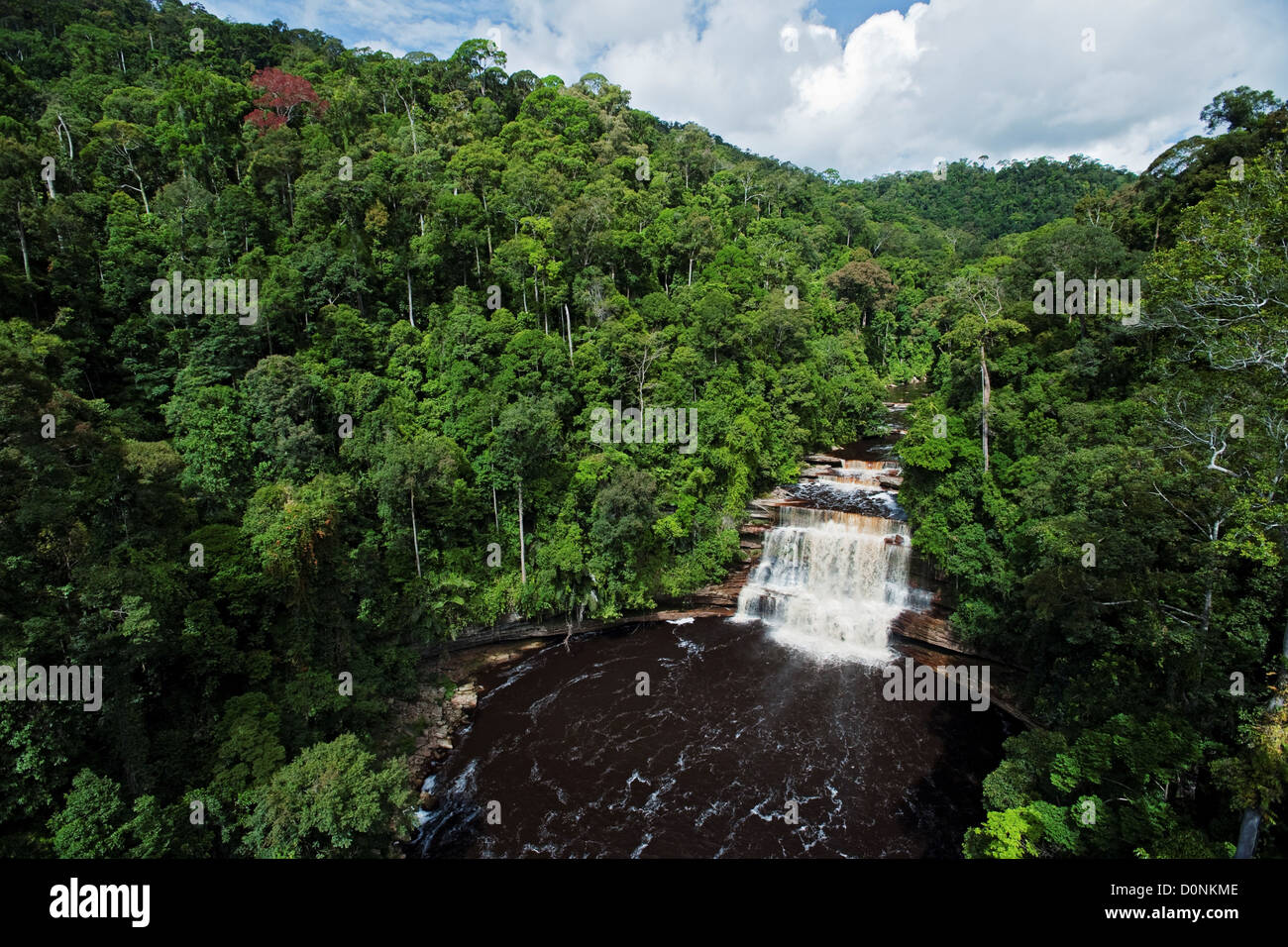 An aerial view of the Maliau River with Maliau Falls in Maliau Basin ...
