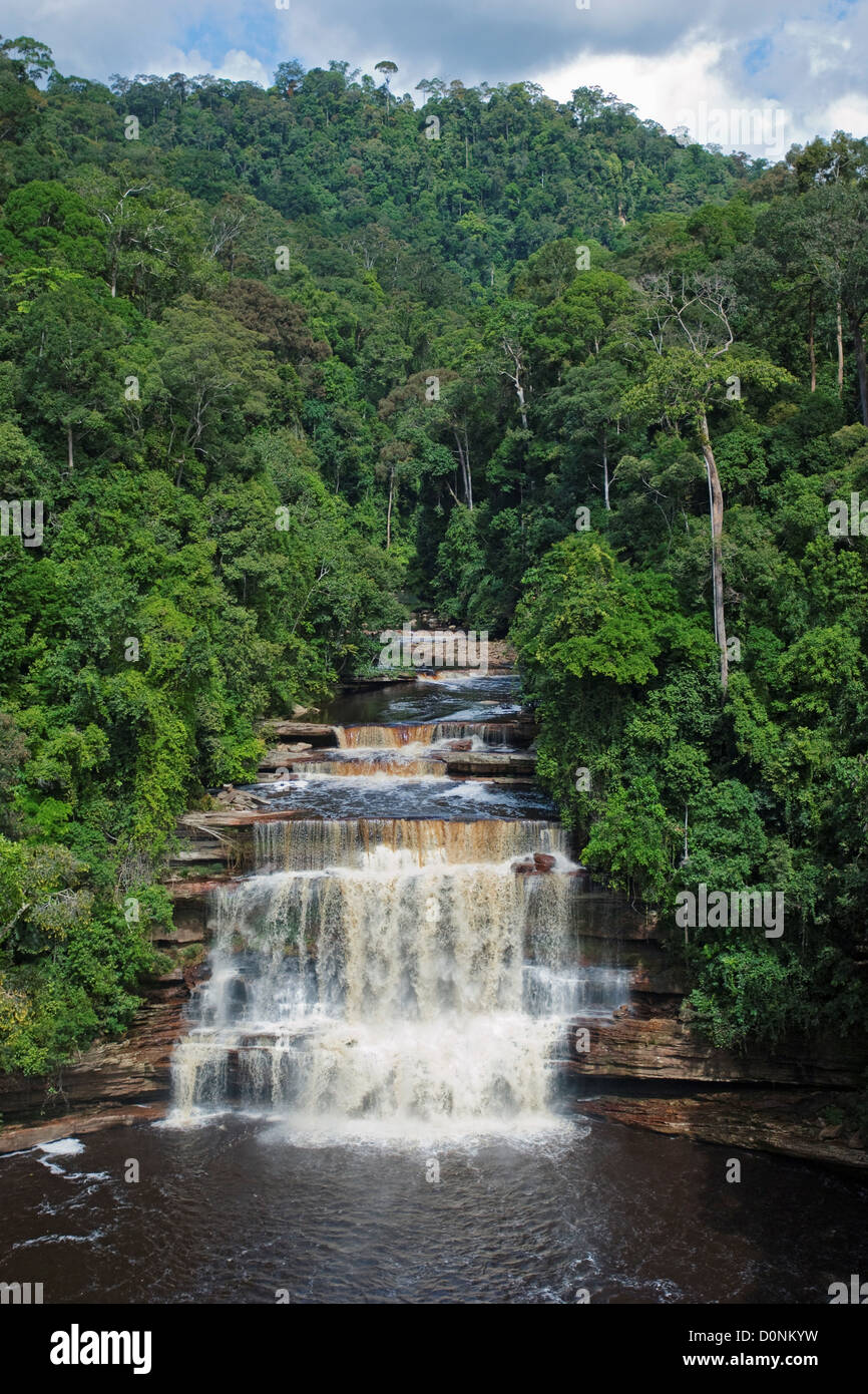 An aerial view of the Maliau River with Maliau Falls in Maliau Basin ...