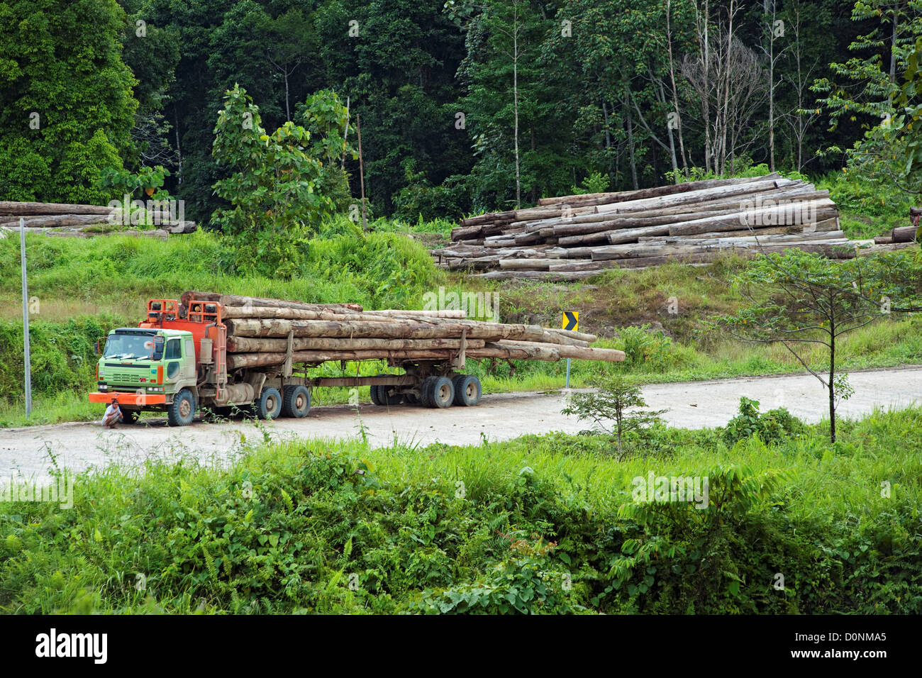 Logging near Nabawan Village, Sabah, Borneo, East Malaysia Stock Photo ...