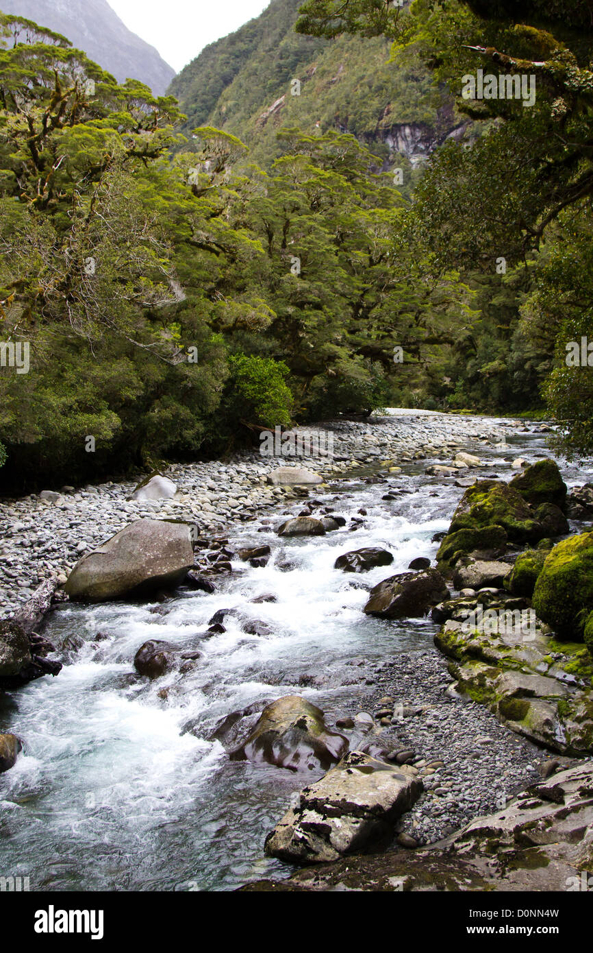 River, New Zealand Stock Photo - Alamy