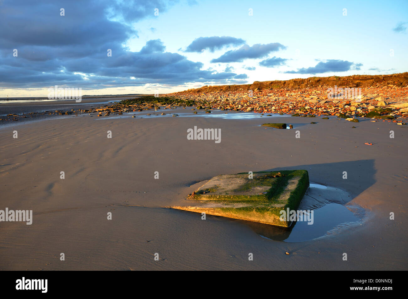 Golden light on a rock on the beach at sunset Stock Photo - Alamy