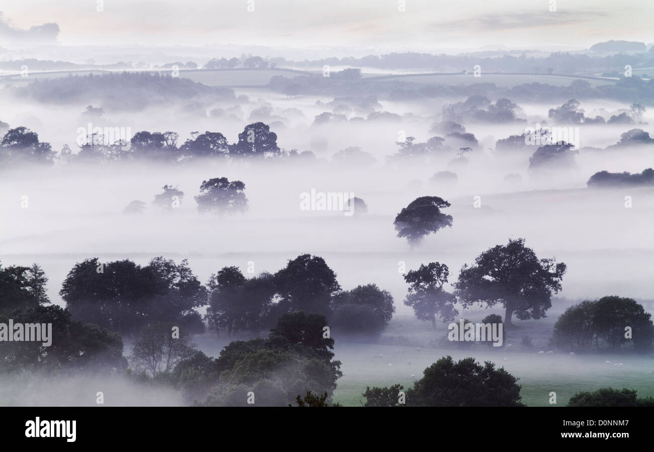 Cornwall devon border hi-res stock photography and images - Alamy