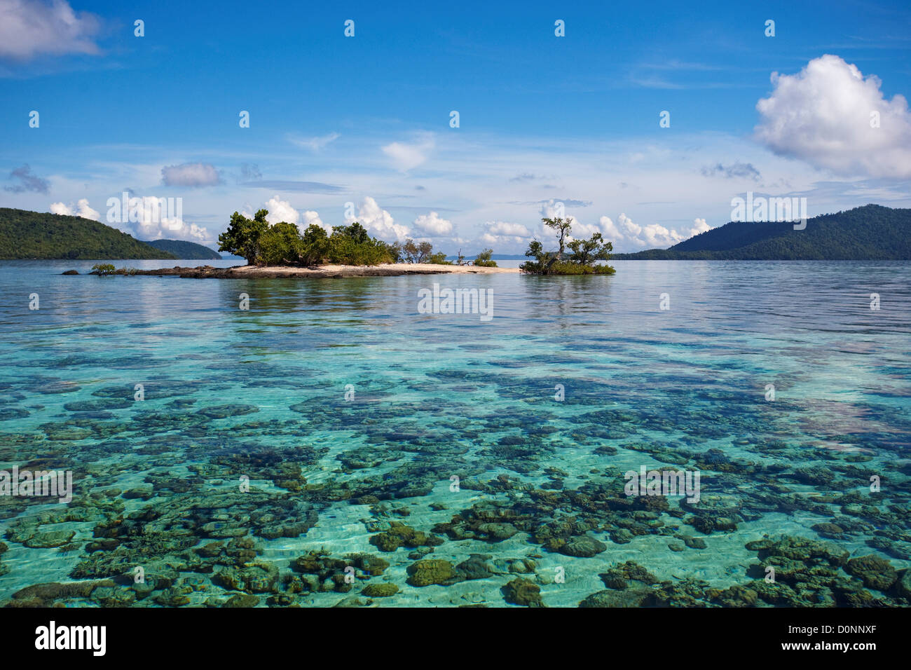 Darvel hi-res stock photography and images - Alamy