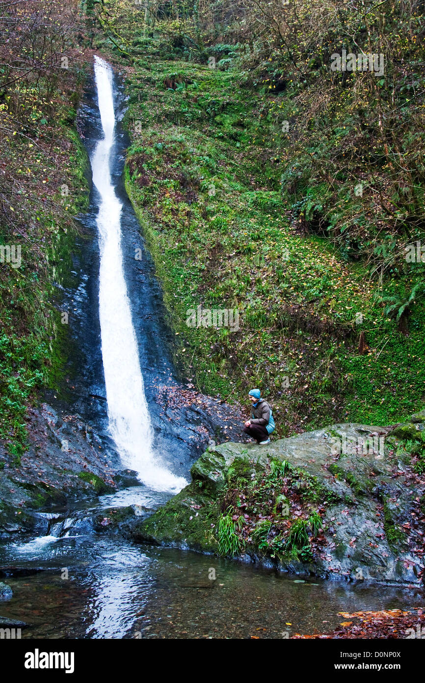 Devon waterfall hi-res stock photography and images - Alamy