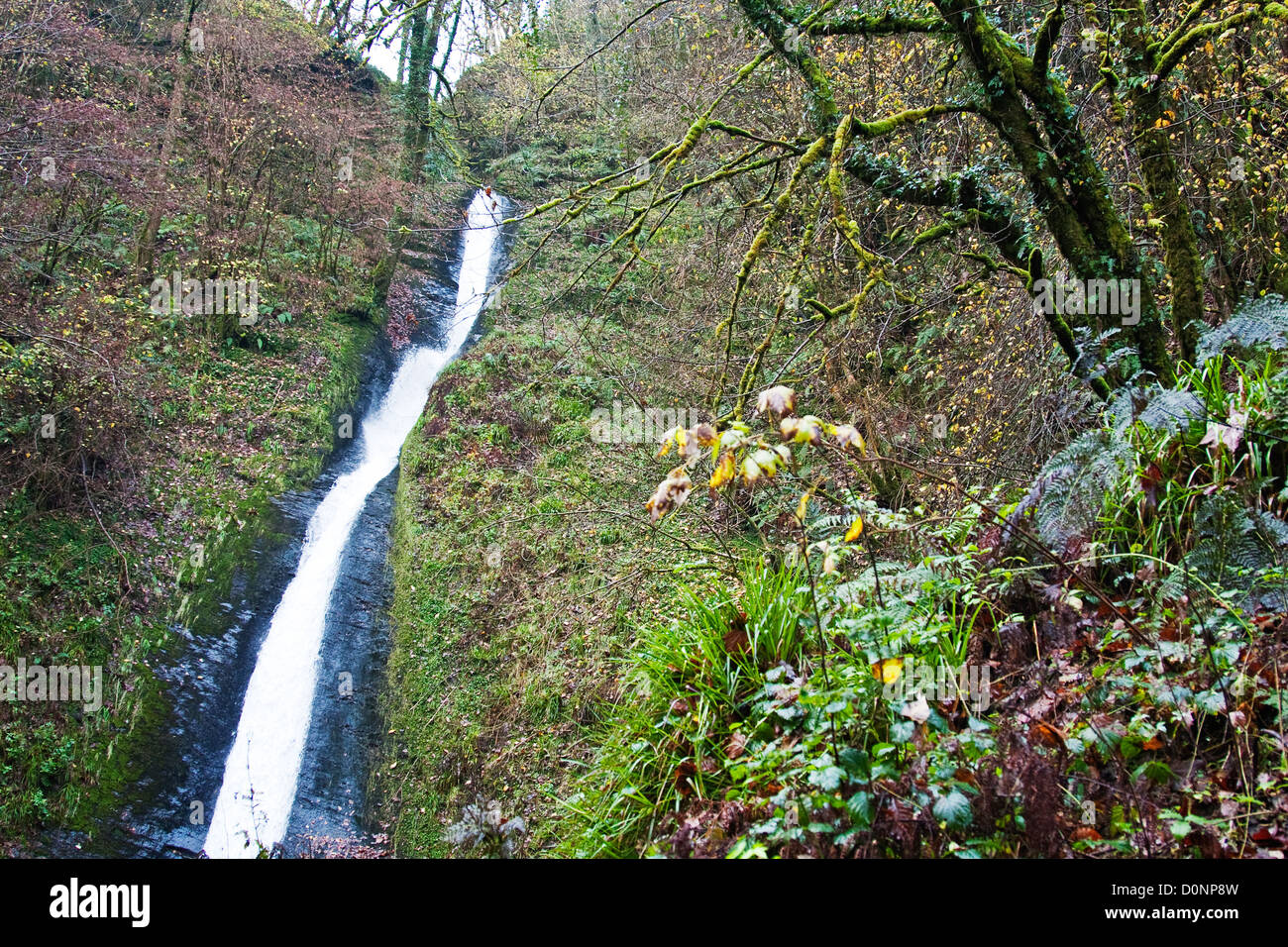 The white Lady waterfall at Lydford George in Devon,UK Stock Photo - Alamy