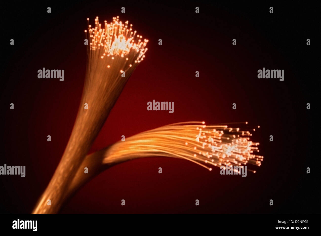 Fiber Optic Strands Glow with Light Stock Photo - Alamy