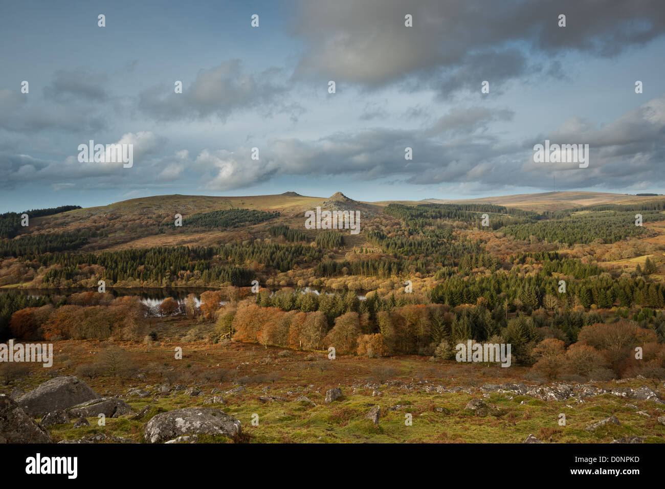 Burrator reservoir hi-res stock photography and images - Alamy