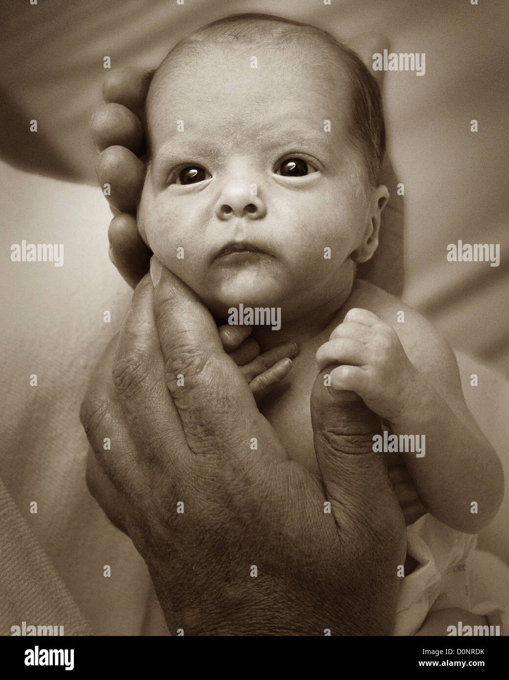 Newborn baby being held up vertical hi-res stock photography and images ...