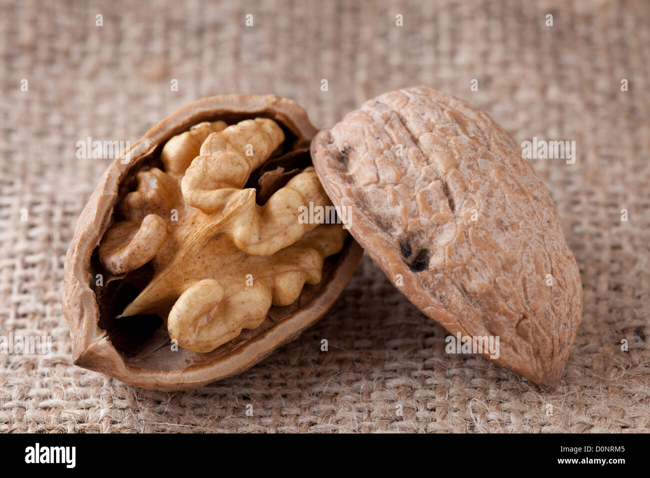 Core of cracked Circassian walnut close-up, brown nutshell on the ...