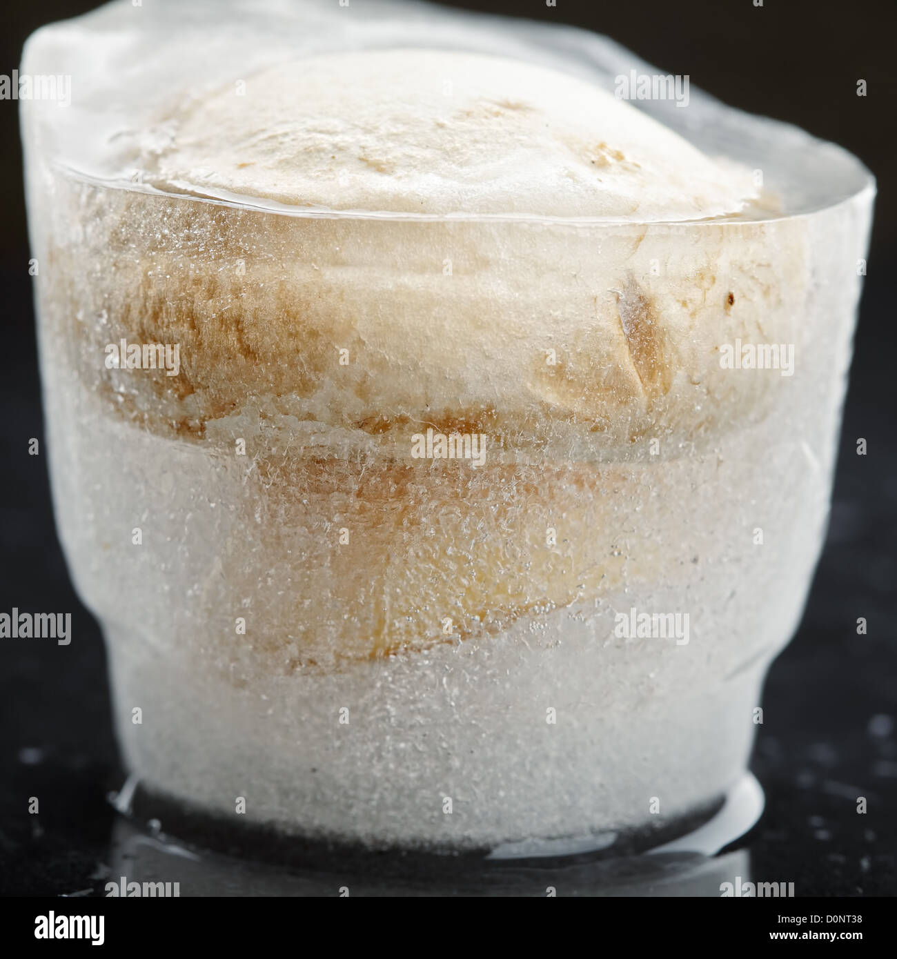 Mushroom in ice Stock Photo - Alamy