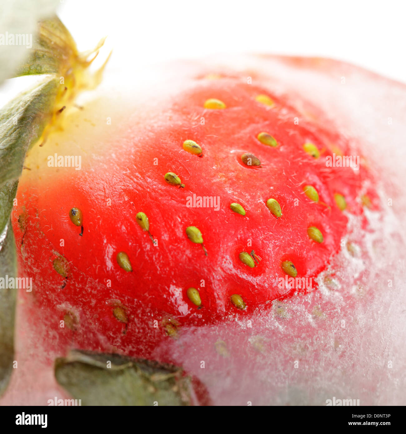 Strawberry frost hi-res stock photography and images - Alamy