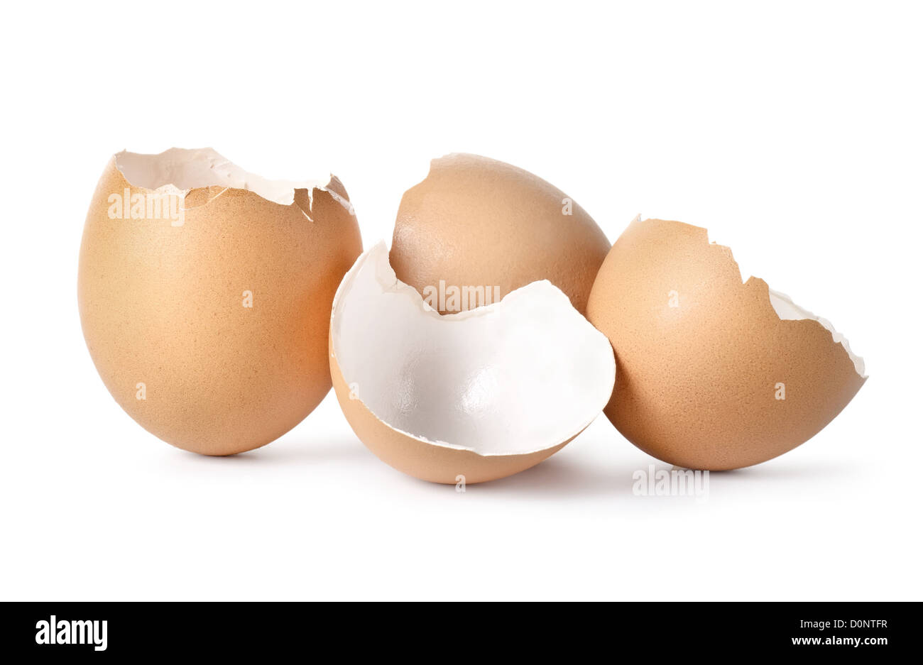 Eggs shell isolated on a white background Stock Photo - Alamy