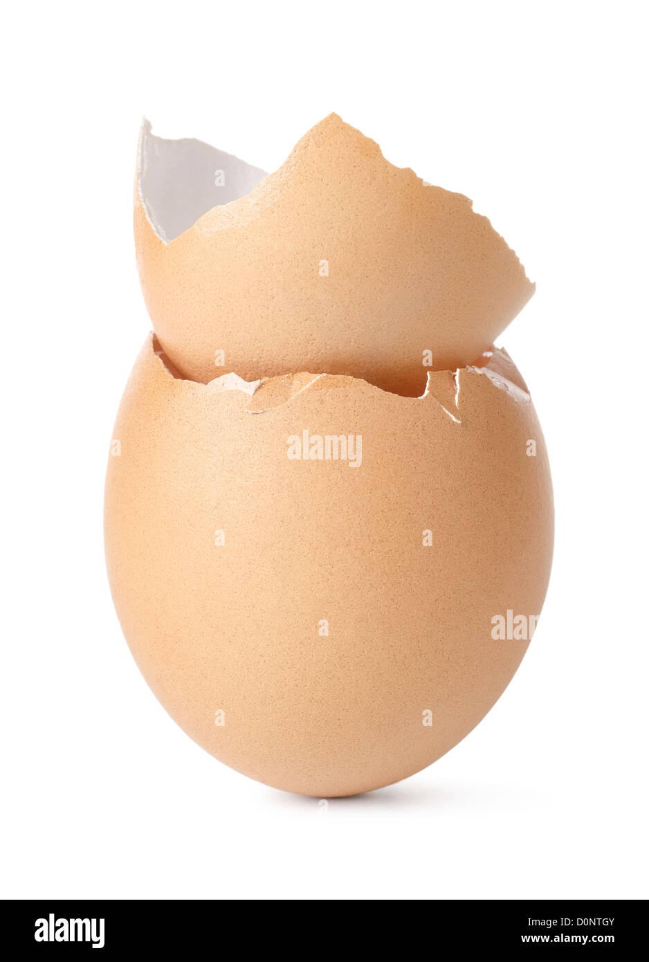 Eggs shell isolated on a white background Stock Photo - Alamy