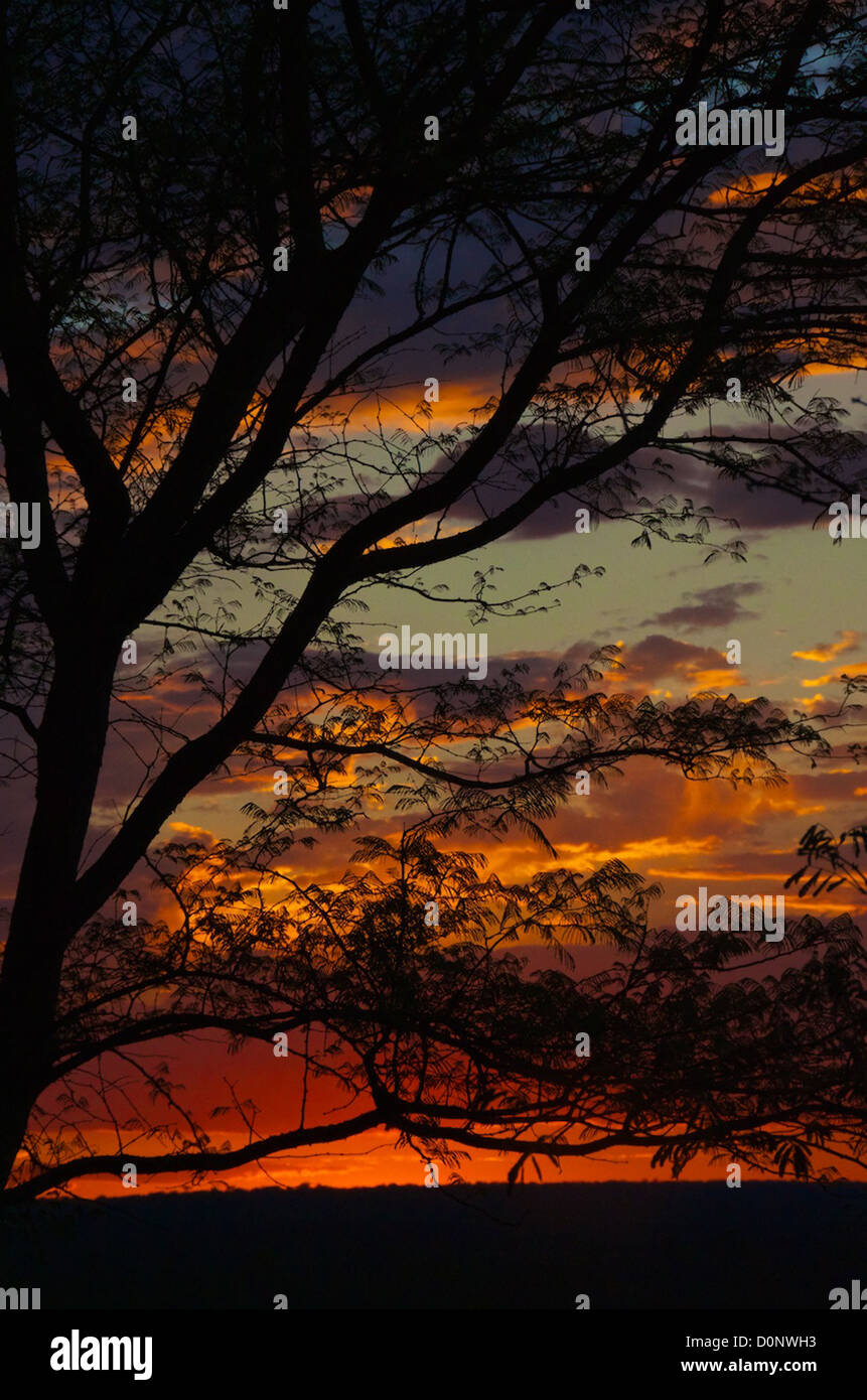 Zimbabwe sunset hi-res stock photography and images - Alamy