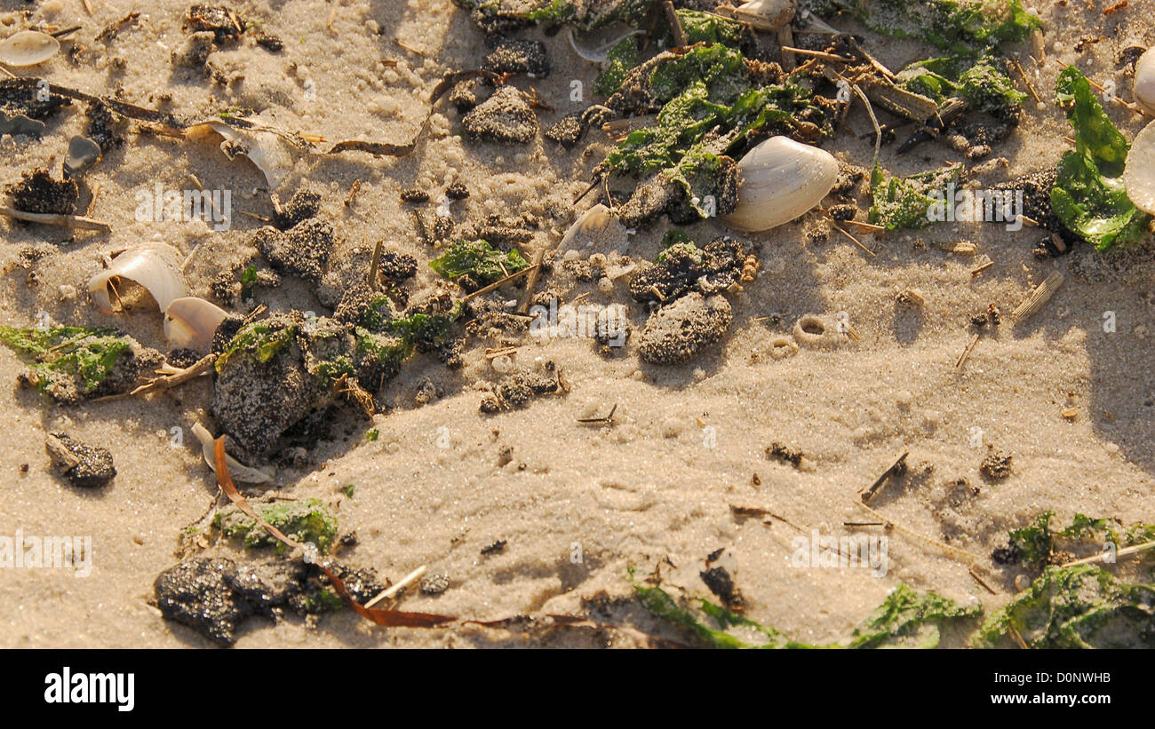 Oil Clumps in Sand Stock Photo - Alamy