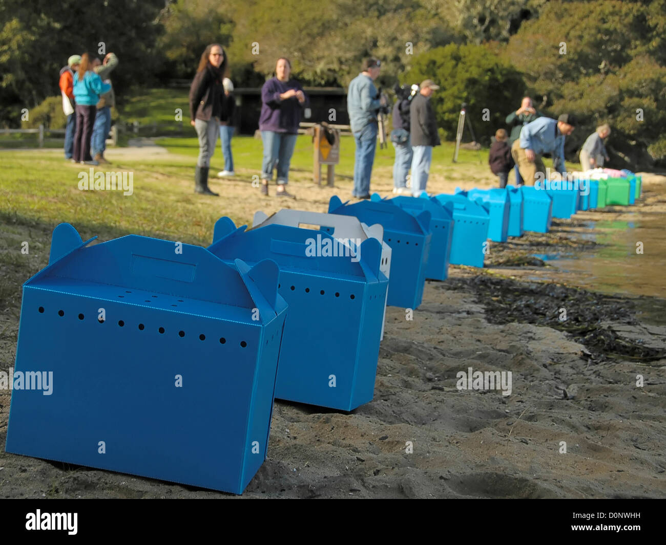 Worker With Rescue Birds High Resolution Stock Photography and Images ...