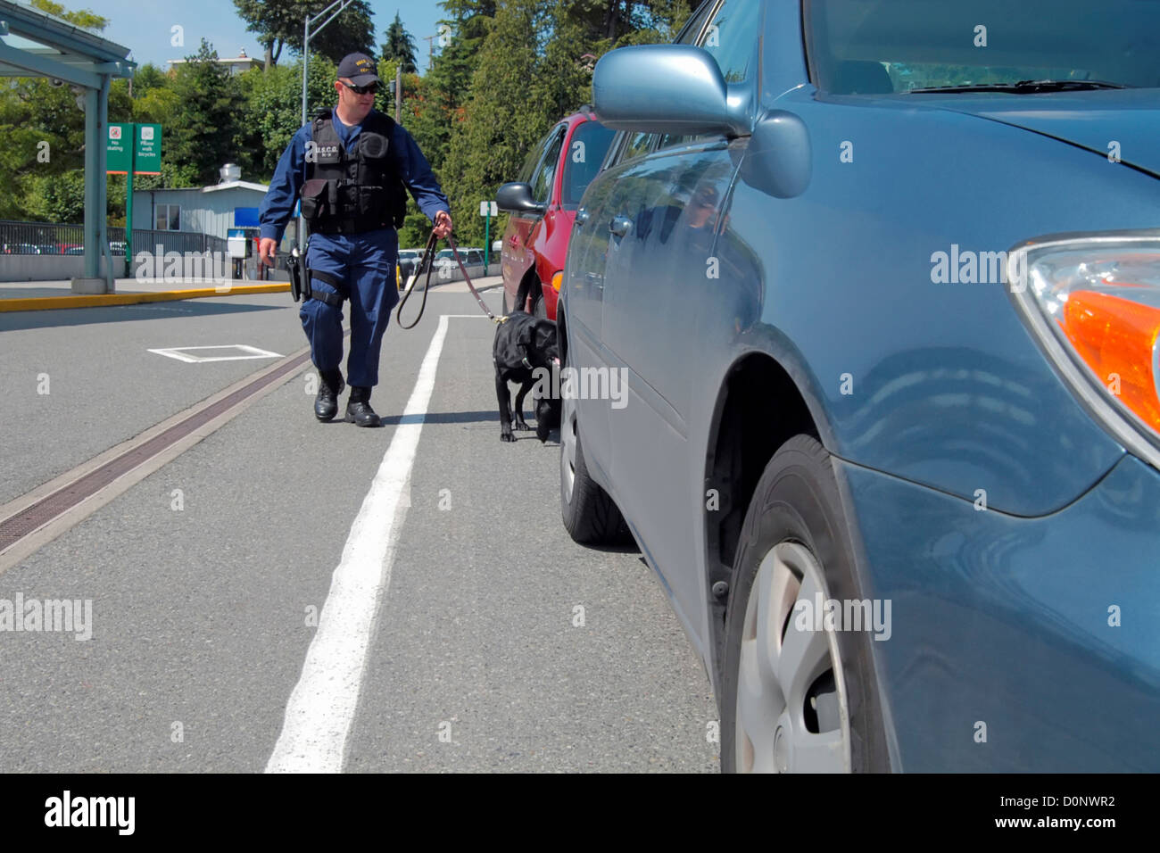 Bomb dog working animals hi-res stock photography and images - Alamy