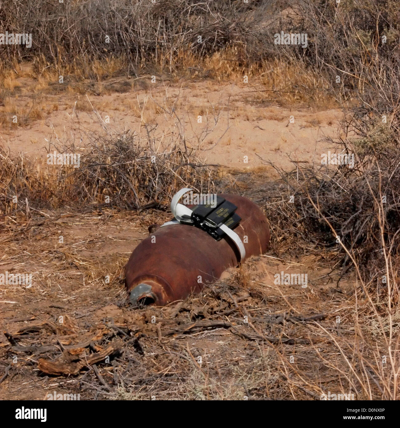 Strapped hi-res stock photography and images - Alamy