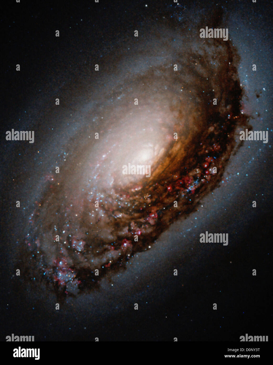 The Unusual Black Eye Galaxy Stock Photo - Alamy