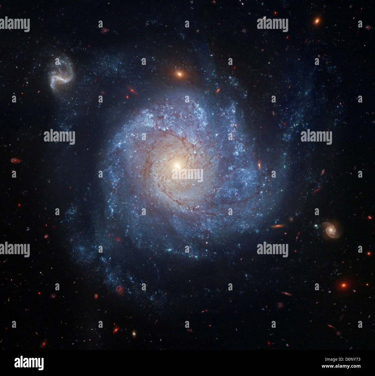 Top-Down View of Spiral Galaxy NGC 1309 in Eridanus Stock Photo - Alamy