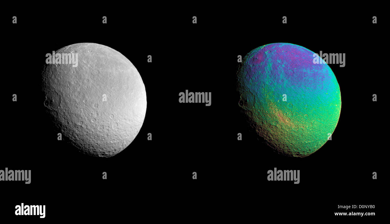 Two Views of Rhea Stock Photo - Alamy