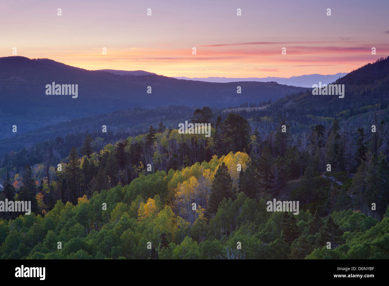 Cedar Breaks, Utah Stock Photo - Alamy