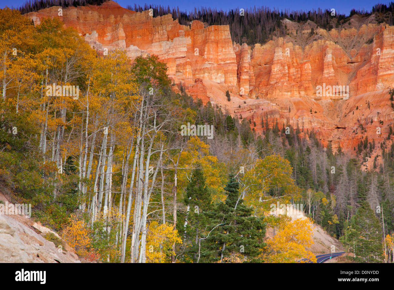 Cedar Breaks, Utah Stock Photo - Alamy