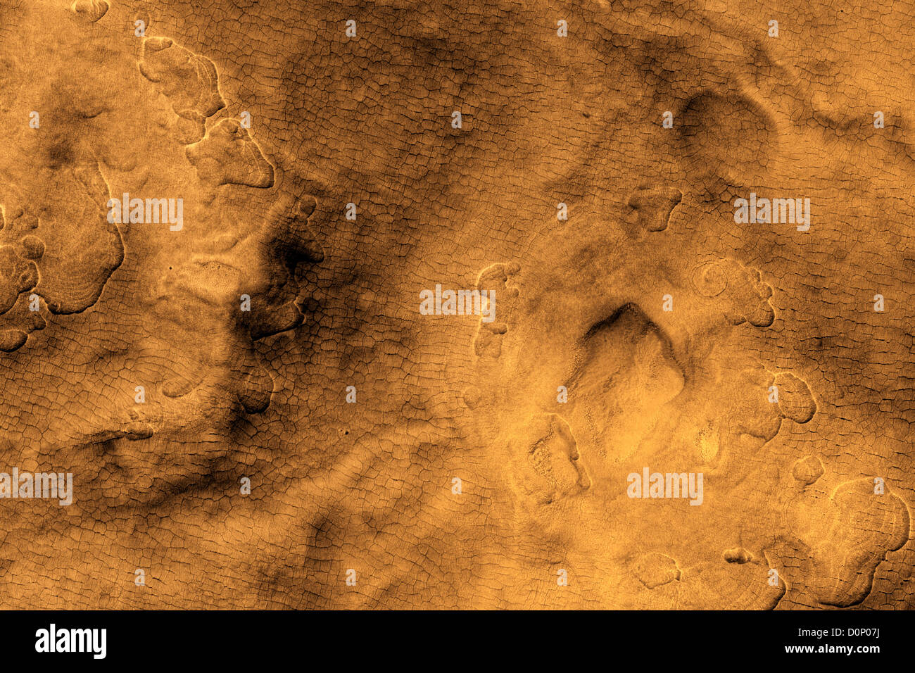 Polygons in the Utopia Planitia Seen by Mars Reconnaissance Orbiter ...