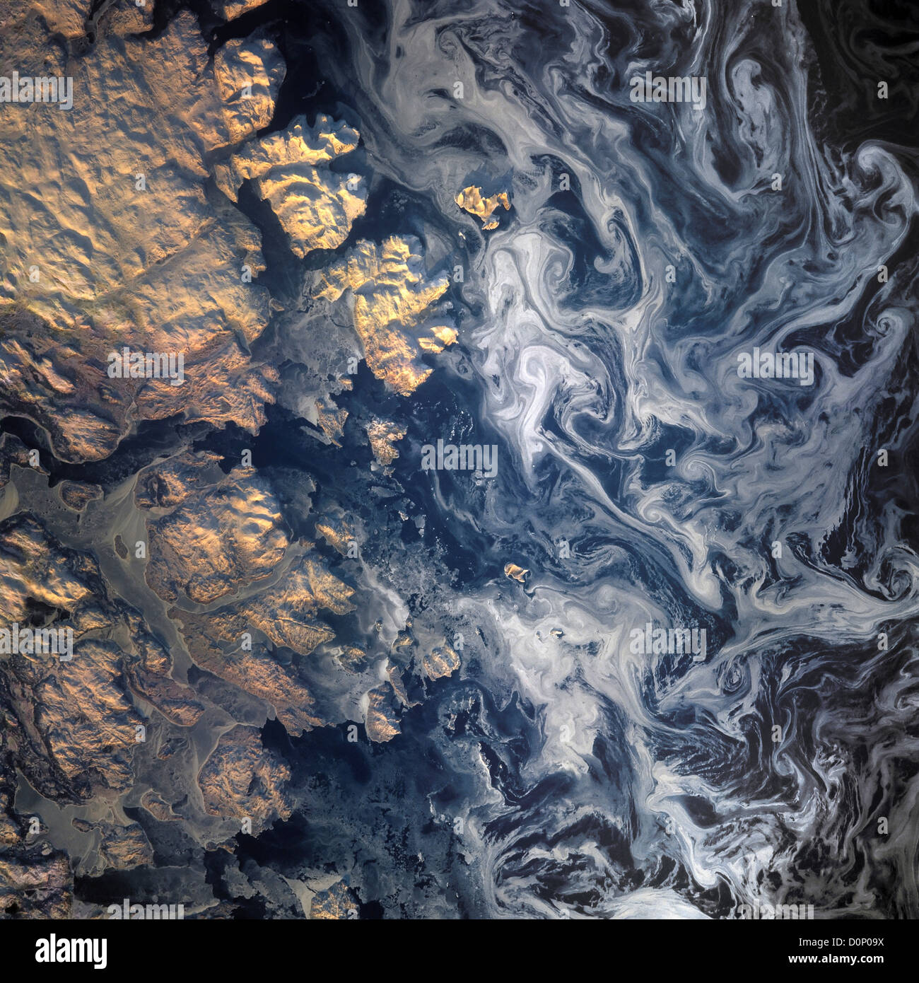 Labrador current hi-res stock photography and images - Alamy